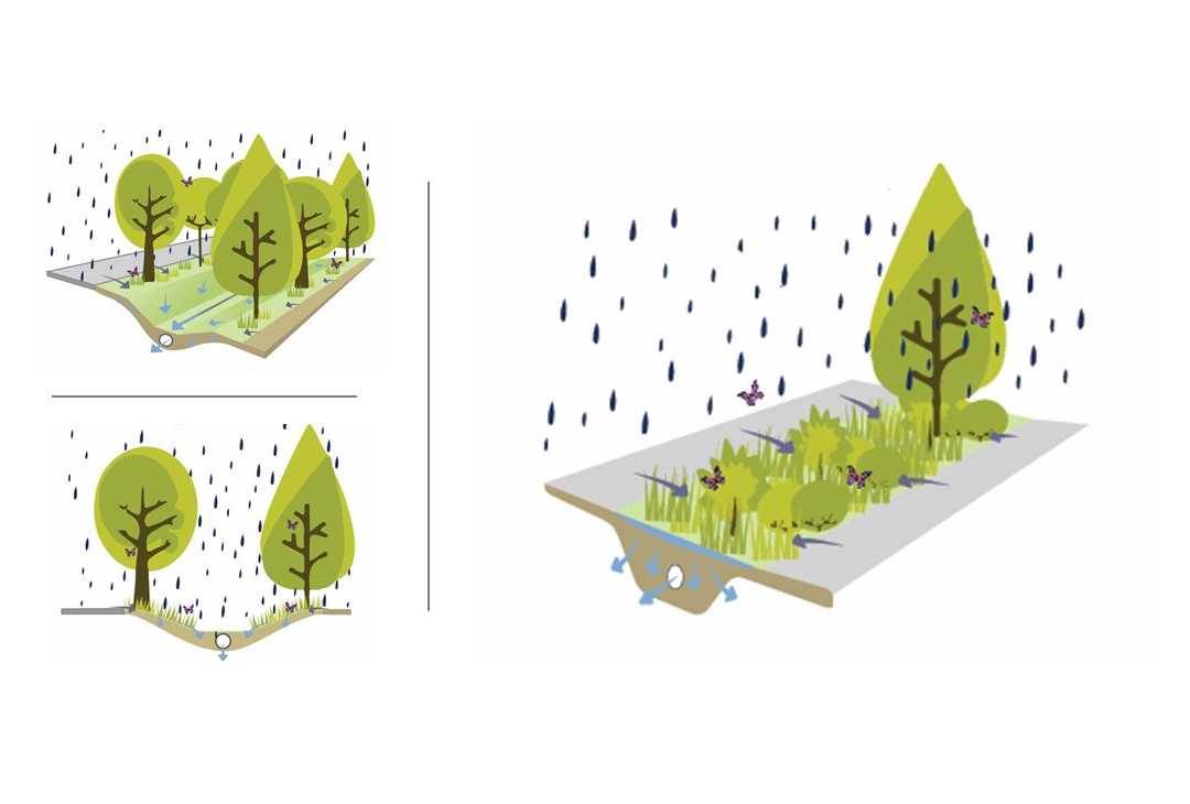 Why Do We Need Sustainable Drainage Systems? - GM Green City