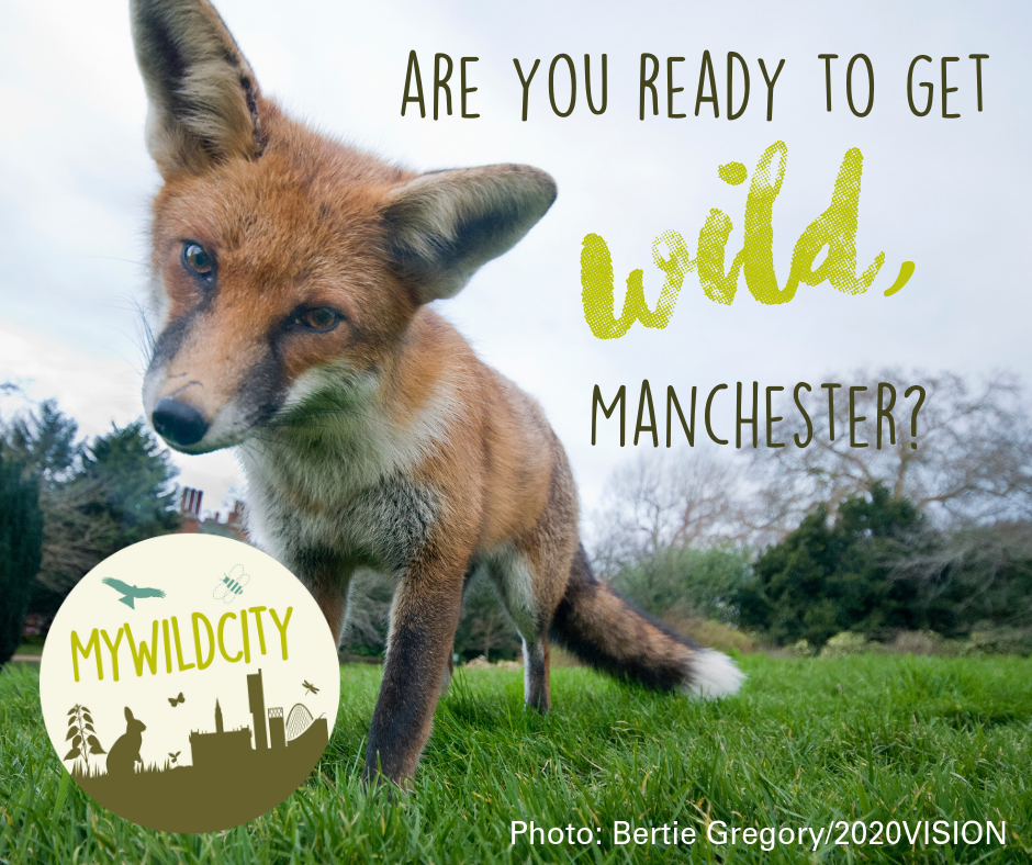 Discovering Manchester’s wild side - GM Green City