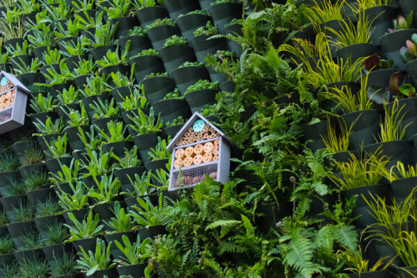 Engaging communities on nature-based solutions: five lessons from the ...