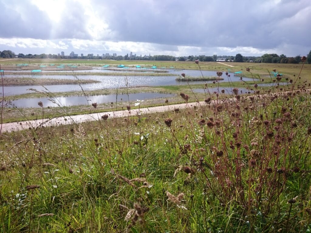 Greater Manchester Wetlands - GM Green City