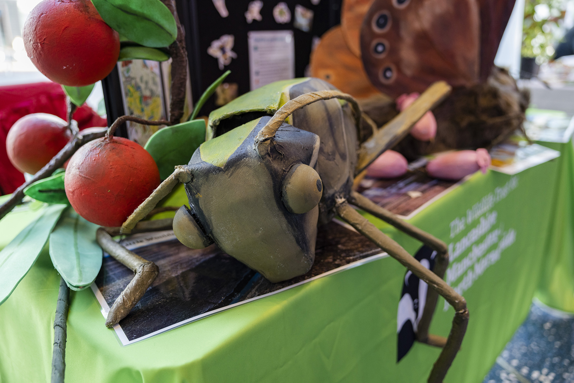 A look back at Greater Manchester Green Summit 2022 - GM Green City