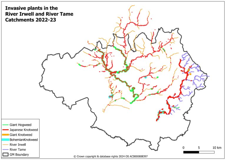 Invasive Riverside Plants in Greater Manchester report - GM Green City